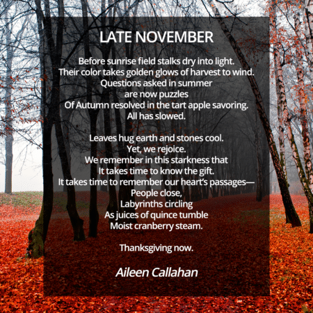 Late November - Cadbury Commons